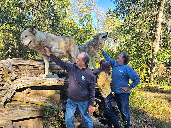 Educational encounters bring visitors face-to-face with wildlife ambassadors, creating memories and changing perceptions one interaction at a time.