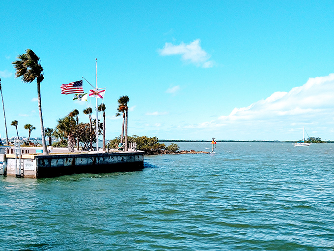Florida's flag dances with the breeze against crystal waters &ndash; a patriotic backdrop for pelicans plotting their next diving expedition.