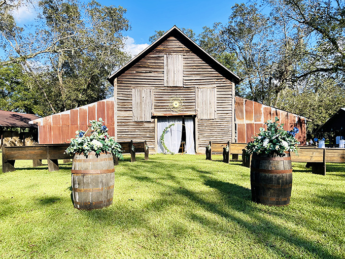 The Woodberry Barn stands as a weathered witness to history, its timeworn boards now hosting celebrations where past meets present.