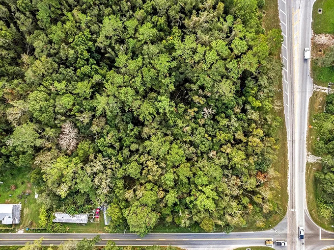 From above, the true scale of Fort Dade Avenue's green corridor becomes apparent &ndash; a winding ribbon of asphalt embraced by nature's arms.