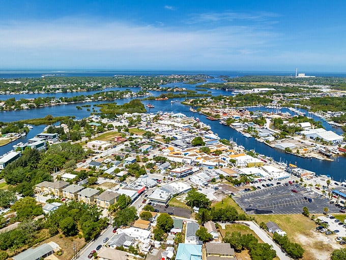 From above, Tarpon Springs reveals its true character&mdash;a waterfront community where blue canals weave through sun-drenched streets.