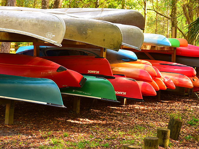 Colorful kayaks waiting for adventure&mdash;like a rainbow that decided to take solid form and help you explore the springs.