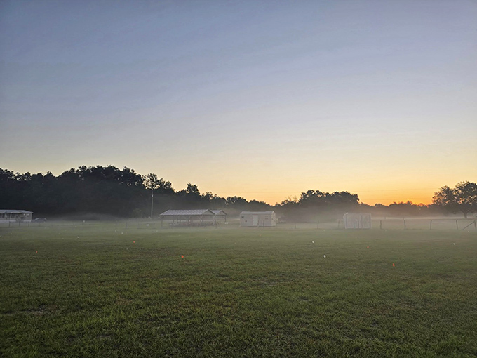 Dawn breaks over the astronomy field, morning mist creating an ethereal landscape worthy of a sci-fi film set.