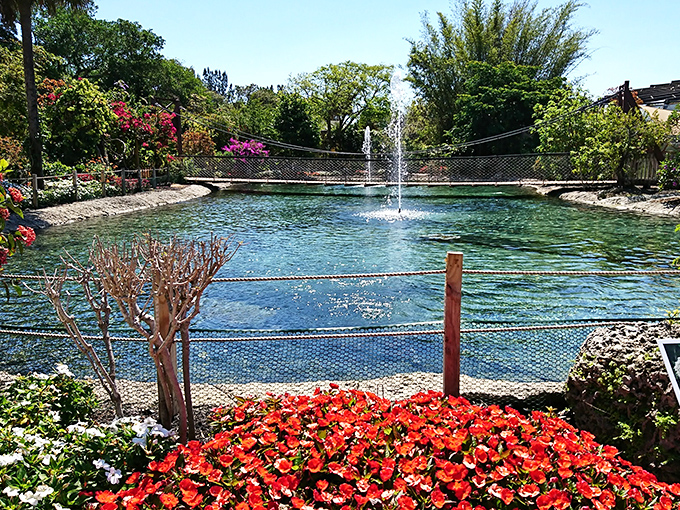 The tranquil pond area offers a moment of reflection, with flowering plants creating a colorful frame for the water feature.