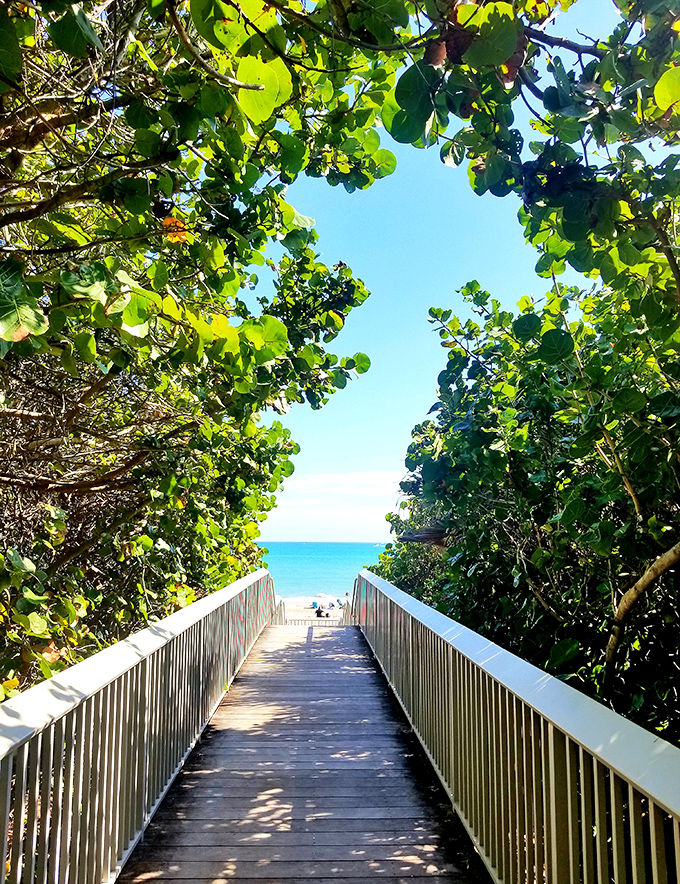 The pathway to bliss is bordered by sea grapes and sunshine &ndash; Florida's version of the yellow brick road.