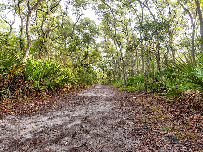 The path less traveled invites exploration through a tunnel of greenery, promising natural wonders at every turn.