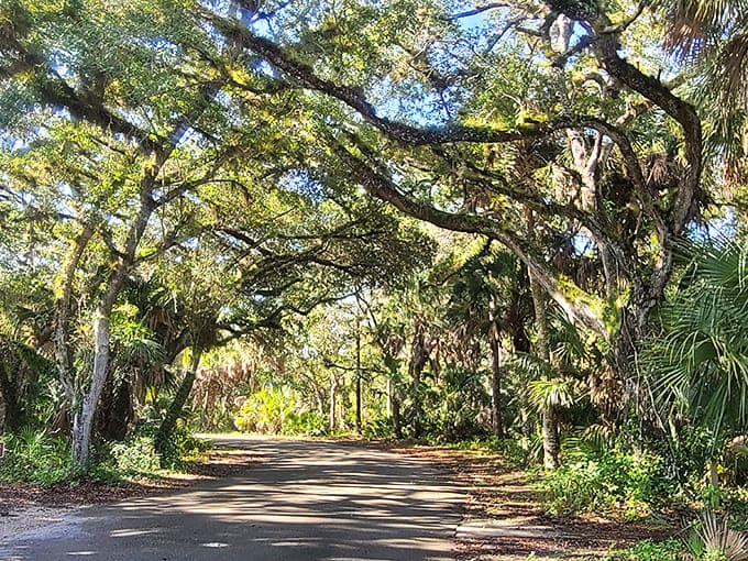 Nature's cathedral awaits as sunlight filters through moss-draped oaks, creating a dappled pathway that beckons visitors deeper into the park.