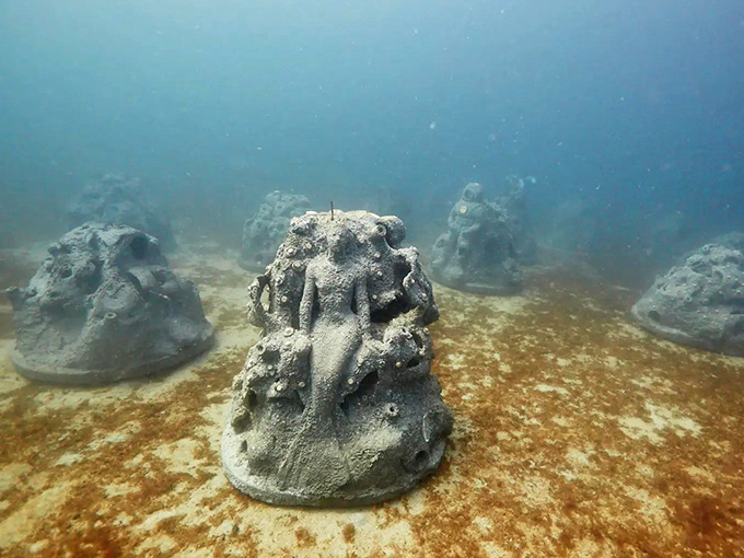 Fresh from the workshop, these newly deployed reef structures stand ready for nature's slow but magnificent makeover.