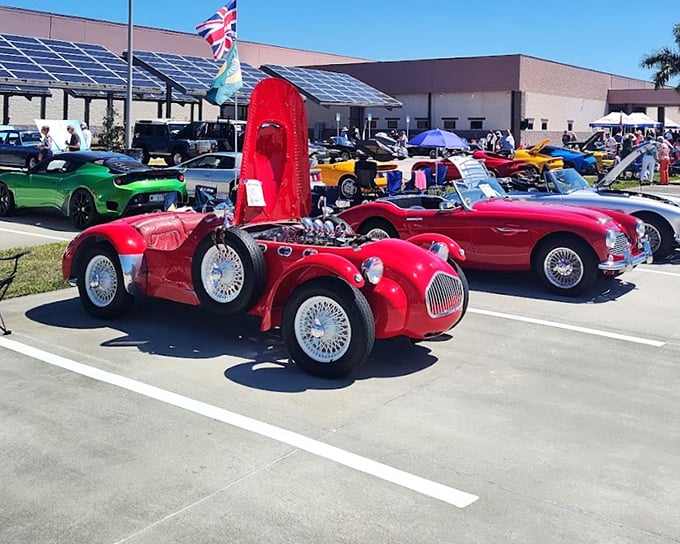 The iconic DeLorean &ndash; stainless steel dreams and gullwing doors that launched a thousand time-travel fantasies without ever leaving the garage.