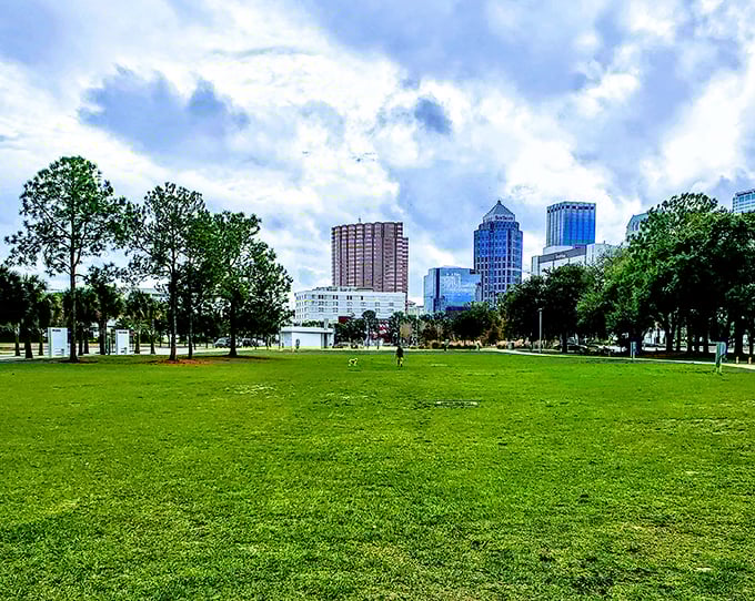 Tampa's skyline creates the perfect backdrop for an afternoon of exploration through this urban oasis of art and history.