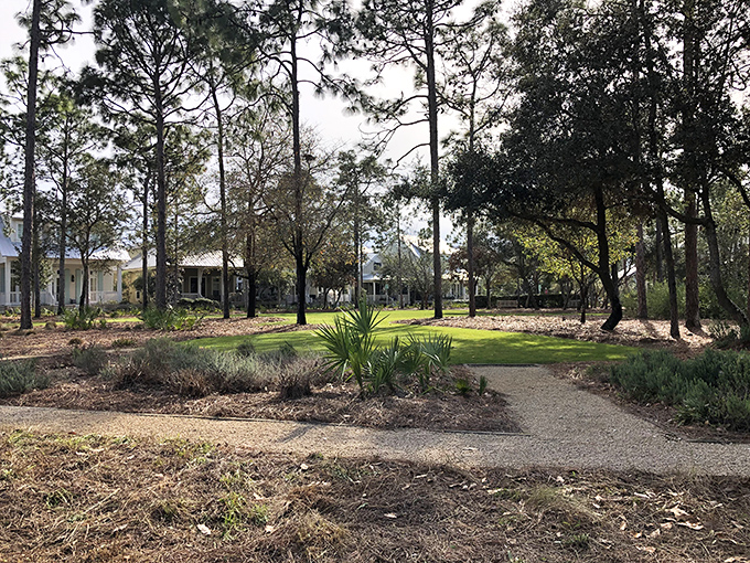 A neighborhood park where the WiFi is weak but the connection to what actually matters grows surprisingly strong.