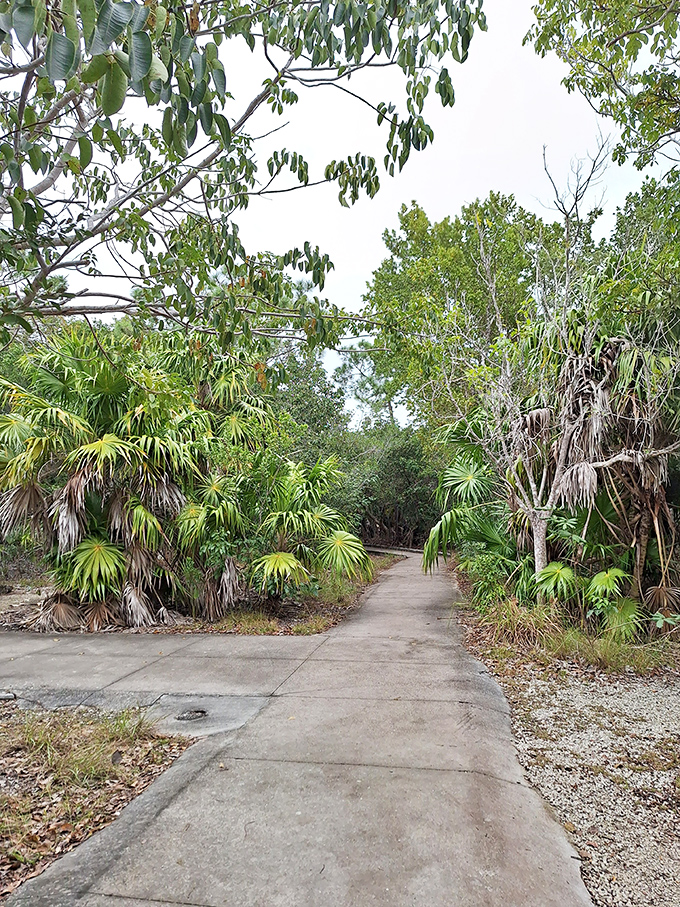 A paved pathway cuts through dense tropical vegetation, offering accessibility without sacrificing that "lost in paradise" feeling.