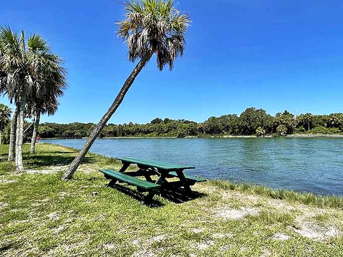 The perfect lunch spot doesn't exi&mdash; Oh wait, here it is! A picnic table with water views that would cost a fortune at any restaurant.