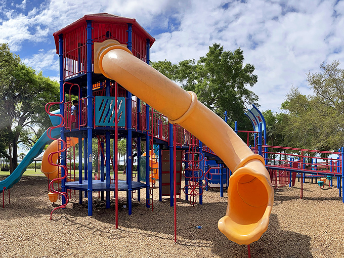 Primary-colored paradise where children burn energy and parents secretly wish they could still fit down those slides.