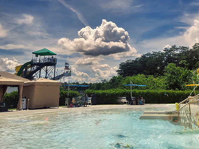 The pool area offers classic swimming fun with a safari twist &ndash; no wildebeests in the deep end, but the wildlife ambiance is unmistakable.