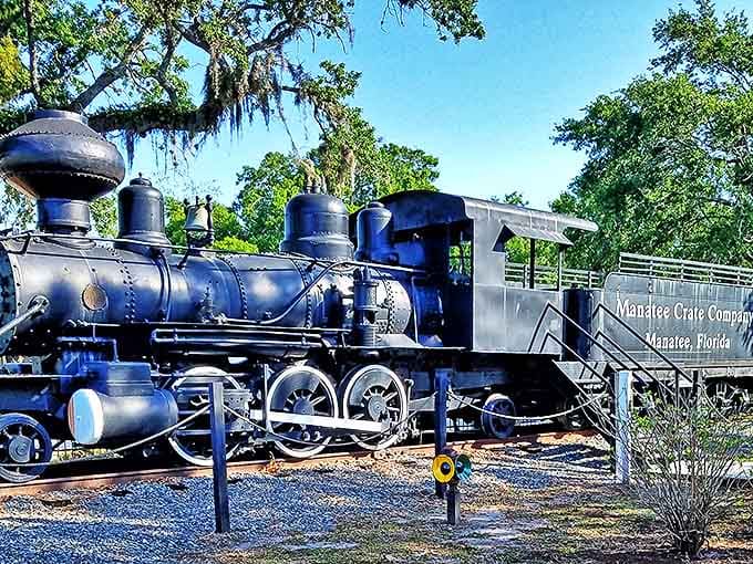 This iron horse once thundered through Florida's landscape, now permanently parked as a monument to transportation history.