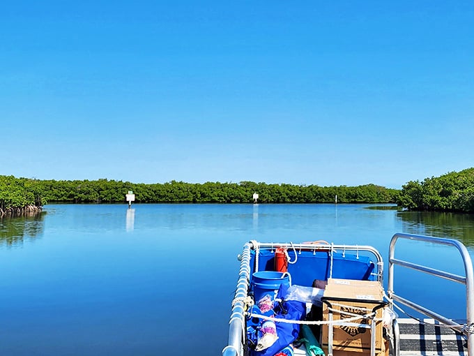 Gliding across waters so clear you can count fish like underwater sheep, this boat ride beats any commute back home.