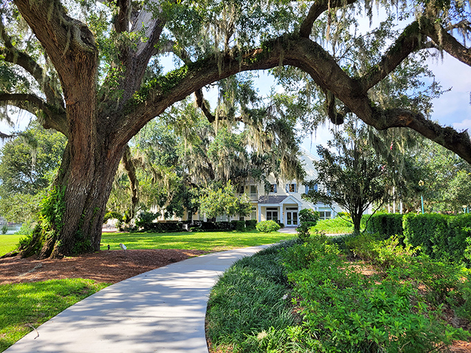 Spanish moss drapes from ancient oaks like nature's own decorating team got carried away with the garlands.
