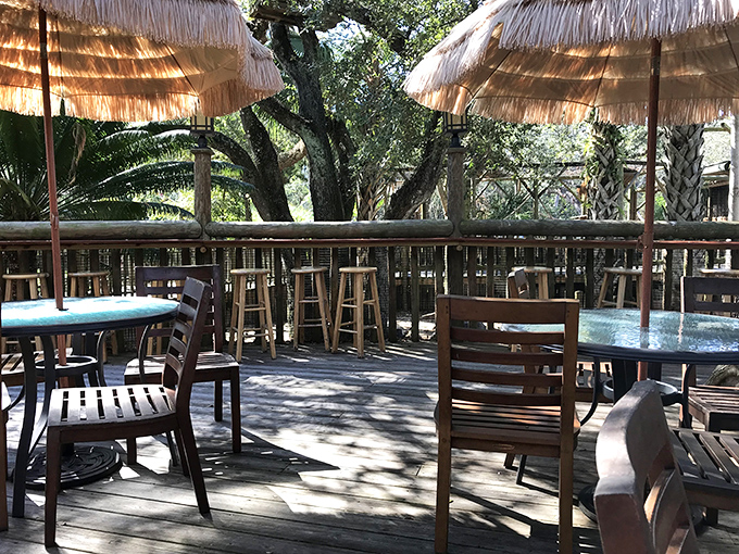 Tropical paradise vibes! The park's thatched-roof seating area offers a perfect respite for weary explorers needing shade and refreshment between animal encounters.