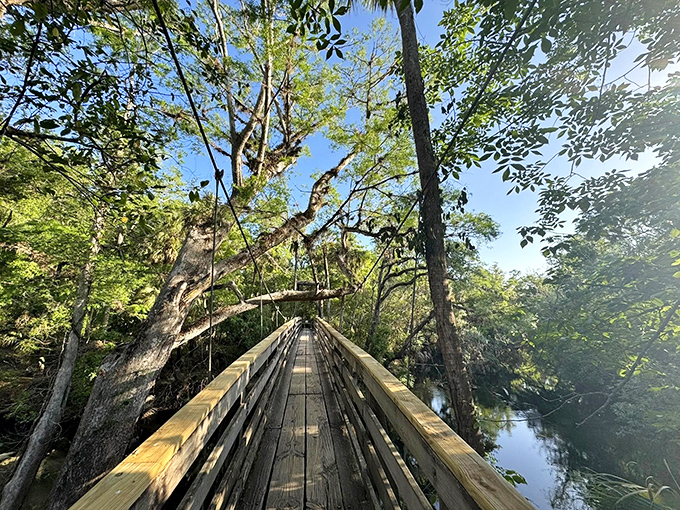 Walking on air: this suspended wooden pathway invites brave souls to venture across, while sunlight filters through the canopy like nature's own spotlight.