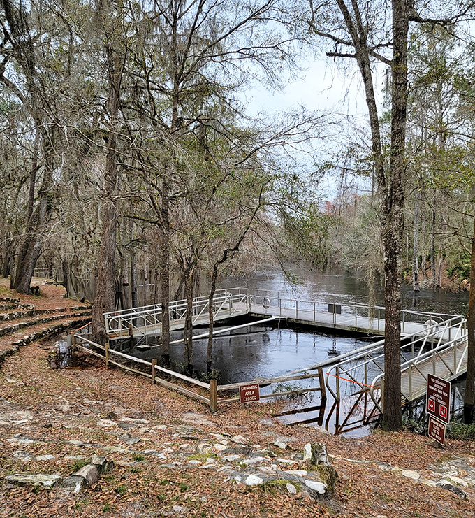 The swimming area provides blessed relief from Florida's heat, its clear waters inviting visitors to take the plunge.