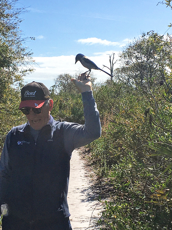 This visitor has clearly passed the Scrub Jay approval process, earning himself a feathered companion for his sanctuary stroll.