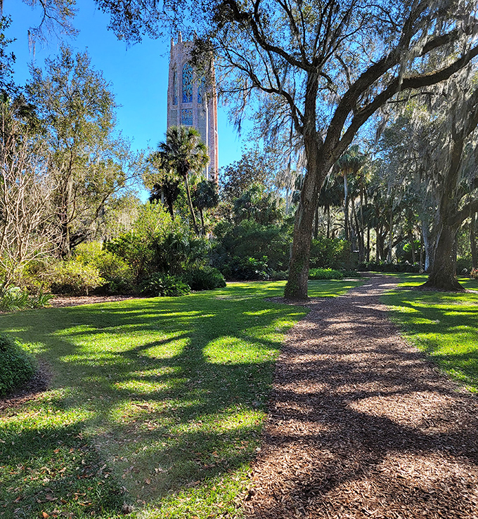 Dappled sunlight plays hide-and-seek along this trail &ndash; nature's version of a disco ball effect, minus the questionable dance moves.