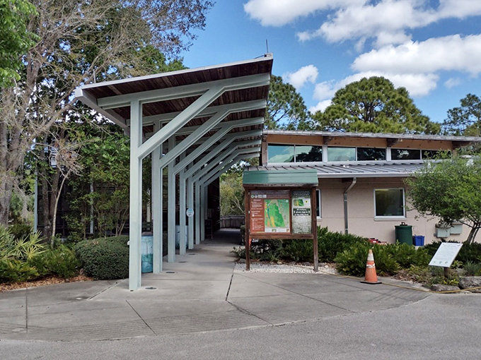 The visitor center stands as a modern treehouse for grown-ups, blending architectural lines with the organic chaos of surrounding forest.