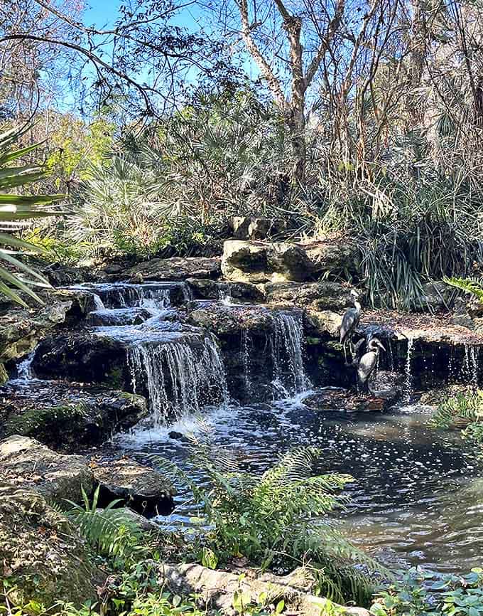 Water cascades over natural stone formations, creating nature's own meditation soundtrack that no app could ever truly replicate.