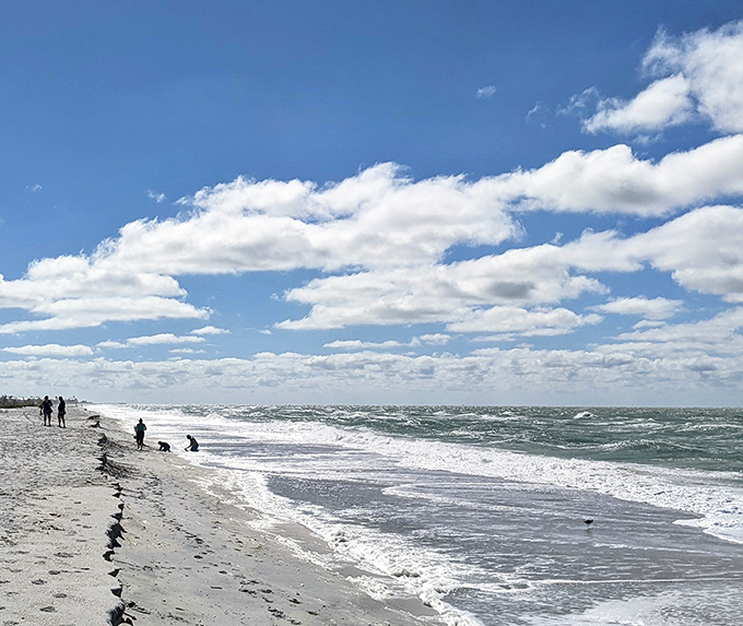Gulf waves gently lap the shoreline in a hypnotic rhythm that's better than any meditation app you've downloaded and never used.
