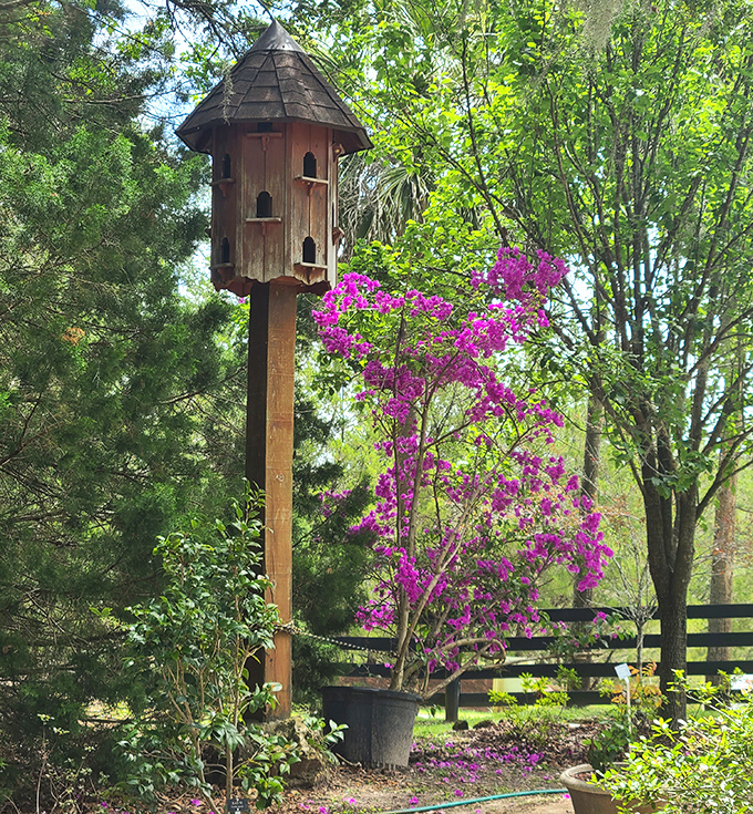 Feathered residents enjoy five-star accommodations in this charming wooden birdhouse, perched like a miniature mansion among the trees.