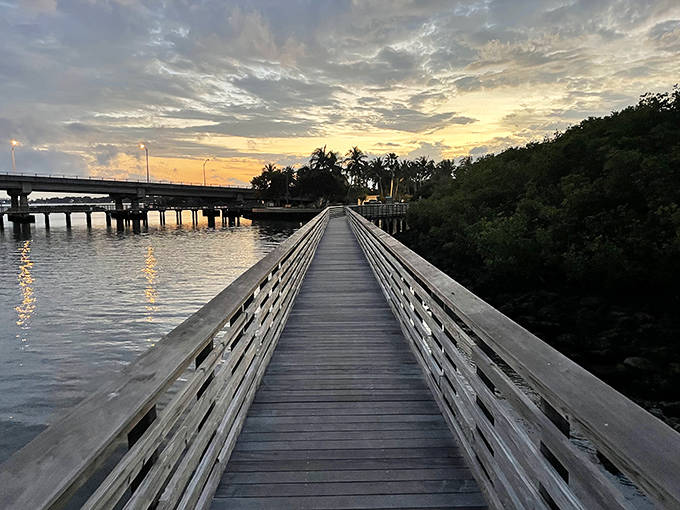 Snook Islands Natural Area's boardwalk seems to float above the water, offering front-row seats to Florida's wild residents.