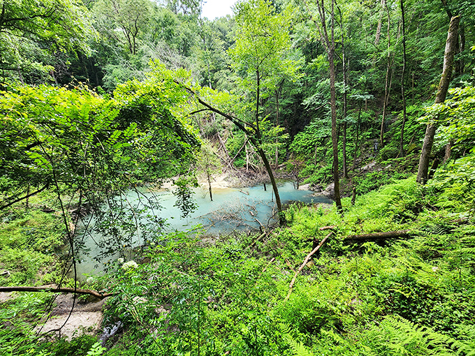 Nature's swimming hole – the ethereal blue waters of Devil's Millhopper create a hidden oasis at the bottom of this ancient sinkhole.