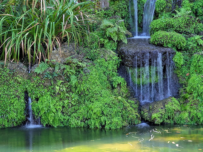 Fairchild's elegant waterfall brings rainforest vibes to Coral Gables. Tropical plants from around the world create a lush backdrop for this water feature.