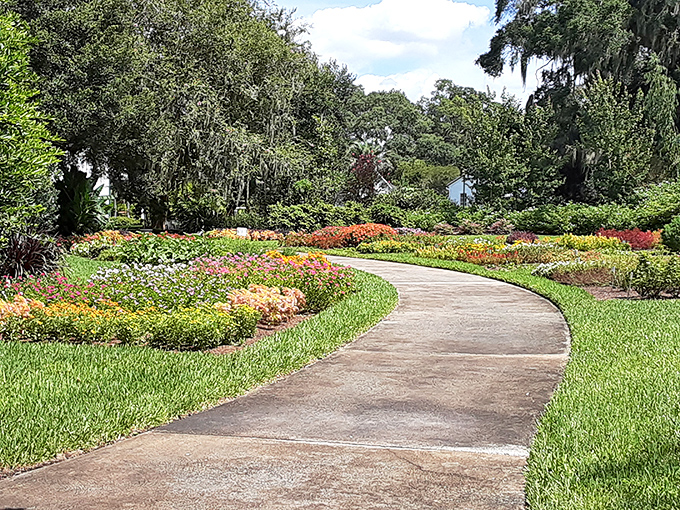 A peaceful, winding path guiding you through the glorious flowers and trees at Harry P. Leu Gardens in Orlando.