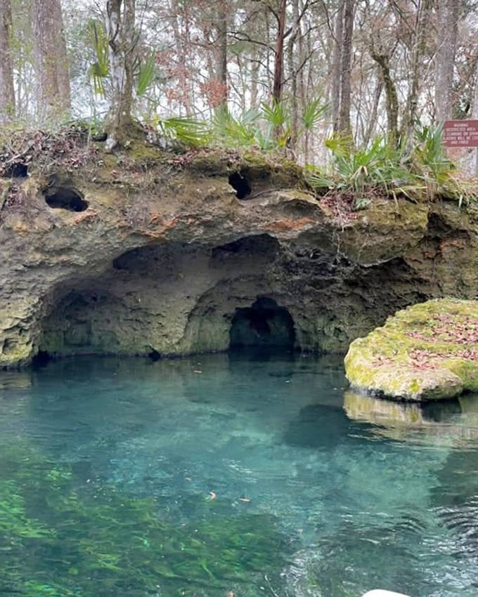 Ichetucknee Springs' gin-clear waters reflect the surrounding forest, creating a mirror-like surface that's irresistible on summer days.