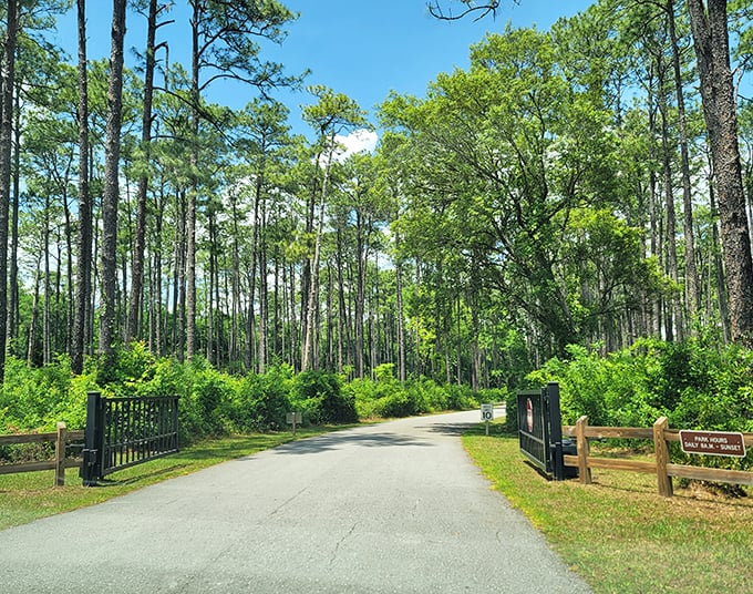 Descend into another world where ferns and flowing water transform this geological wonder into Florida's own secret garden.