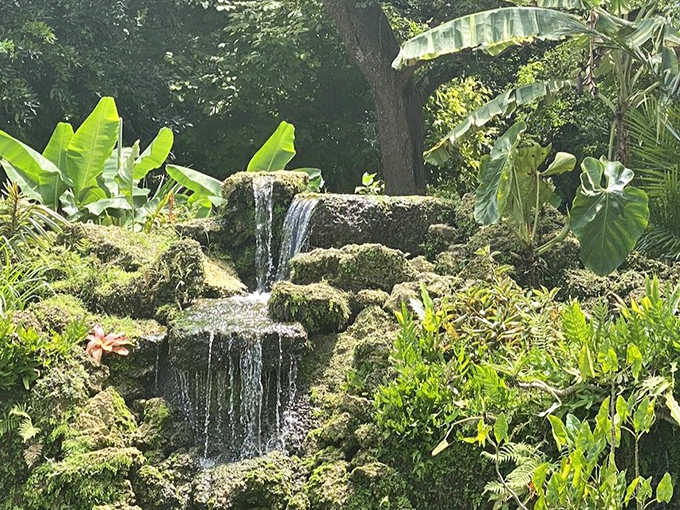 A closer look at Fairchild's waterfall shows the careful design that mimics natural cascades. Water splashes over rocks, nurturing rare plants below.