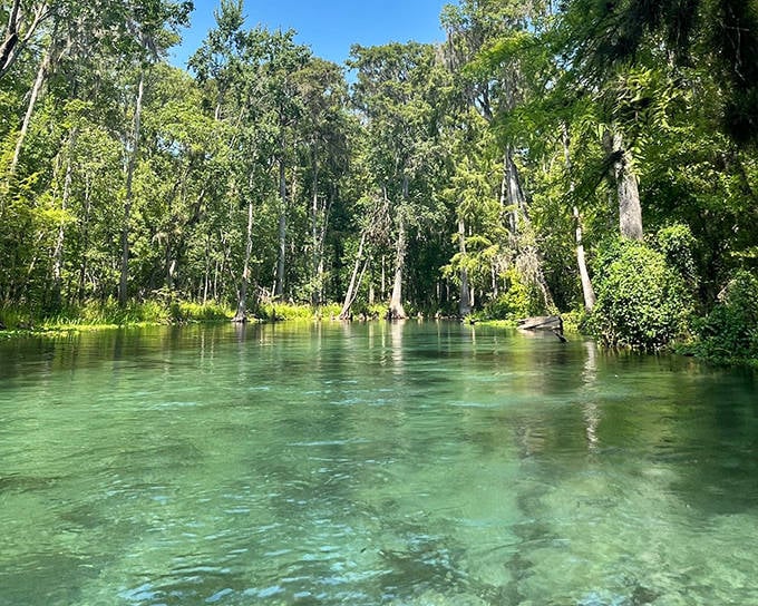 Colorful tubes dot Ichetucknee's crystal river, where the gentle current carries visitors through a natural water park created by Florida's limestone aquifer.