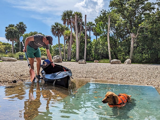 Curious pup investigating the shoreline at Oleta River State Park, where Miami's largest natural area meets the waters of Biscayne Bay.