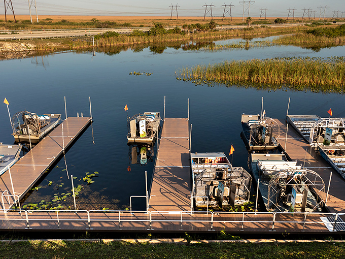 The park's well-designed dock system keeps these powerful machines organized between adventures into the wild.