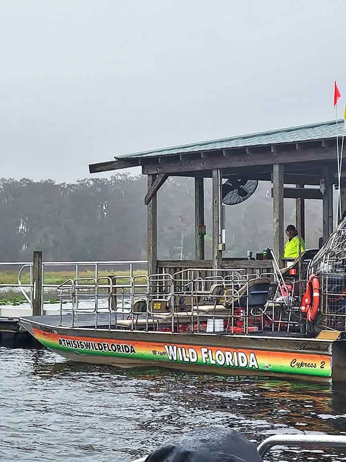 Morning mist creates a mystical backdrop for this airboat adventure &ndash; Mother Nature's version of special effects puts Hollywood to shame.