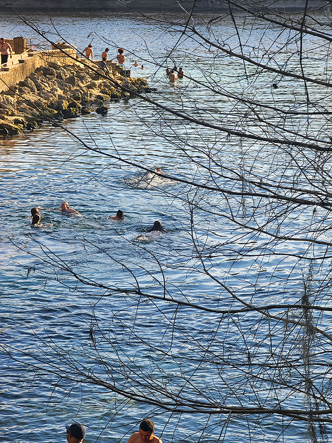 Social swimming at its finest &ndash; where conversations flow as freely as the spring water into the tannin-rich Suwannee River beyond.
