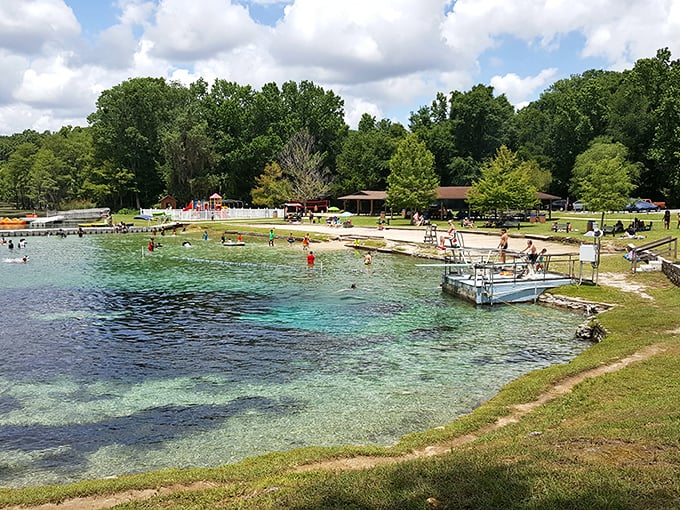 The spring's edge offers a perfect vantage point for contemplating life's big questions, like "Why don't I live closer to this place?"