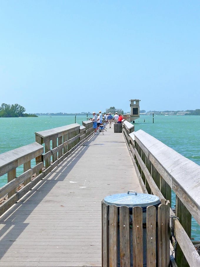 The wooden pier extends into the water like an invitation, drawing visitors to pause and appreciate the peaceful Florida waterfront.