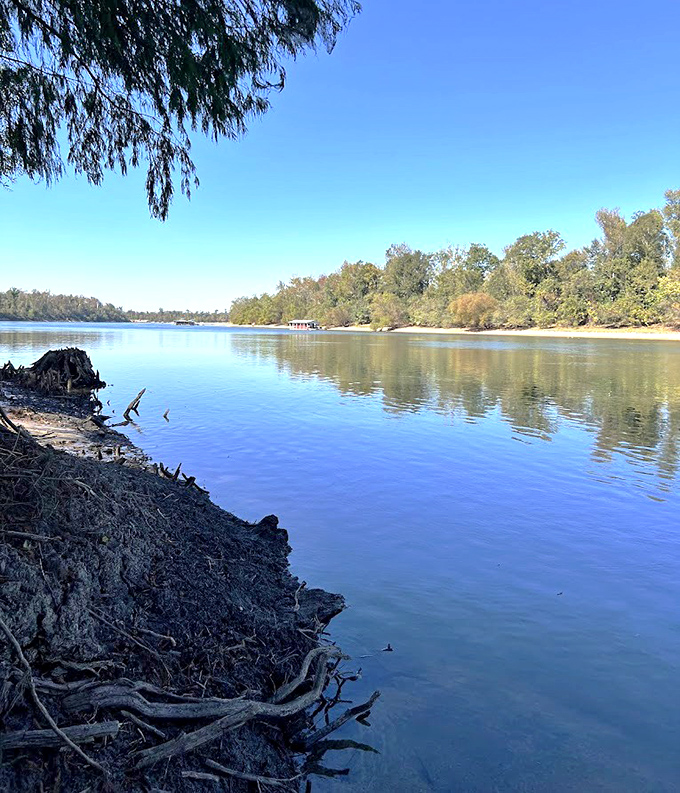 The riverbank reveals centuries of geological history, where water meets land in a dance that's been ongoing for millennia.