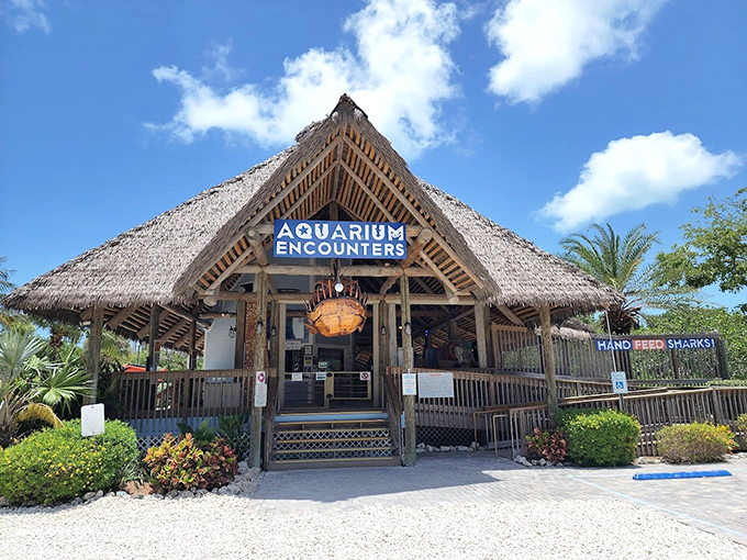 Aquarium Encounters' thatched-roof entrance promises up-close marine adventures without getting your hair wet &ndash; unless you want to!