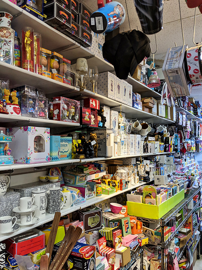 Beyond candy, shelves overflow with quirky gifts and novelties – proving To The Moon is more than a candy store; it's a curiosity shop.
