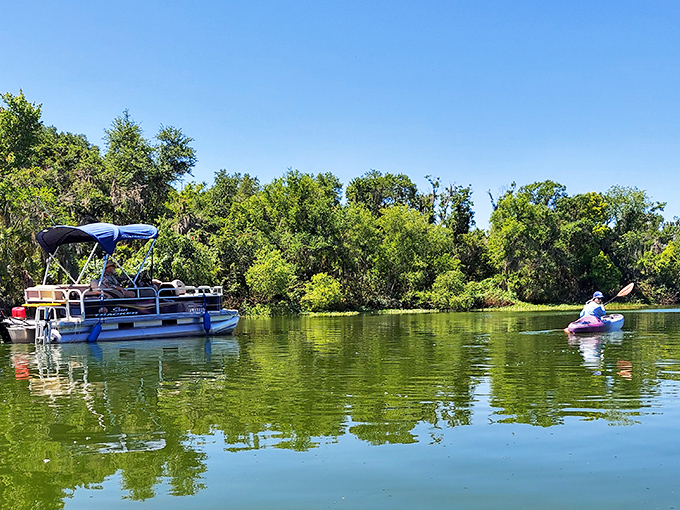 The reservoir offers dual water experiences &ndash; leisurely pontoon cruising or adventurous kayaking &ndash; proving there's no wrong way to enjoy Florida waters.
