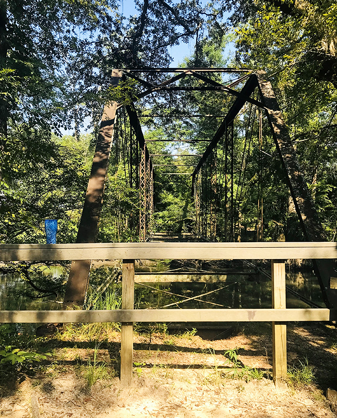 Dappled sunlight filters through the canopy, creating a natural spotlight on this centerpiece of local legend.